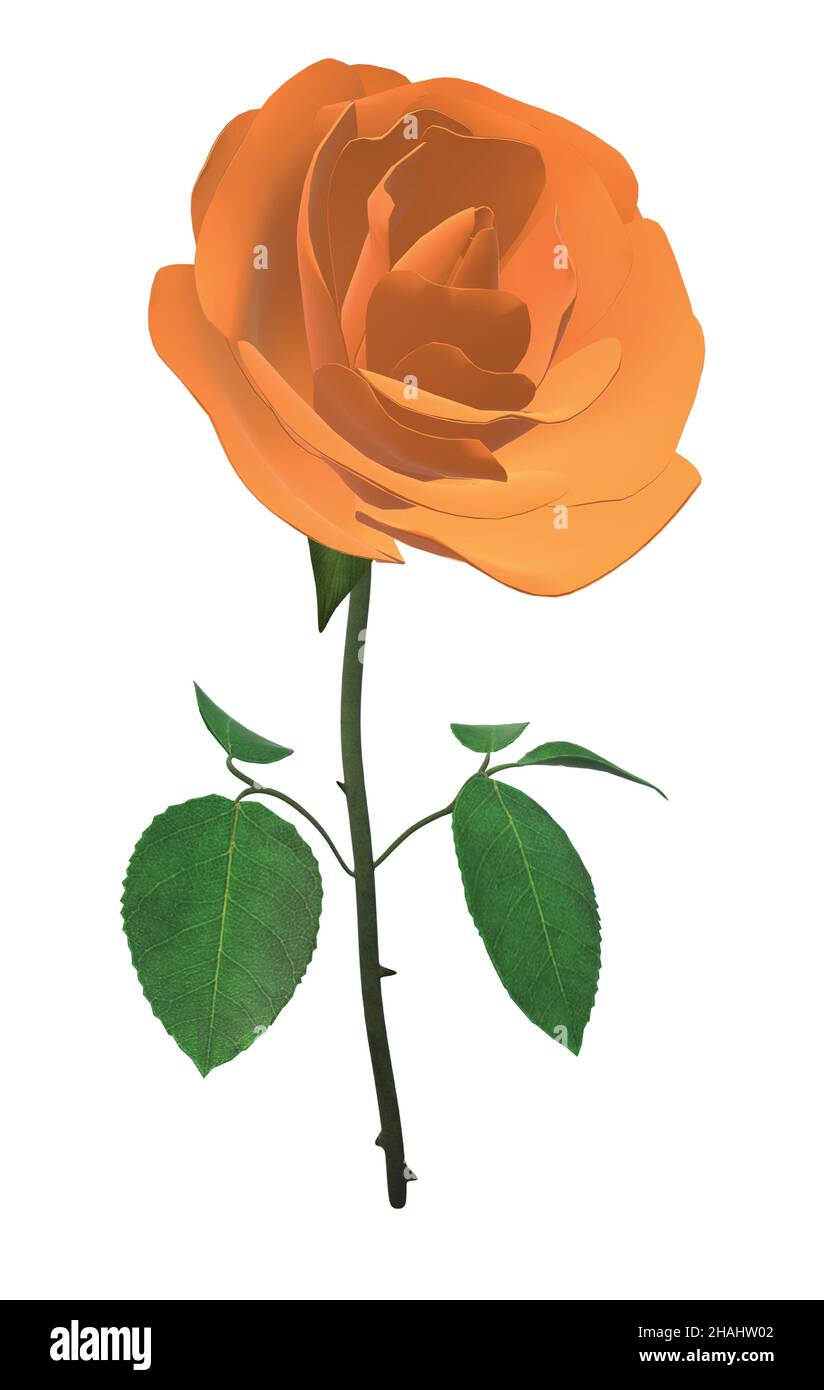 Solid Orange Single Rose Stem Stock Vector Image & Art - Alamy