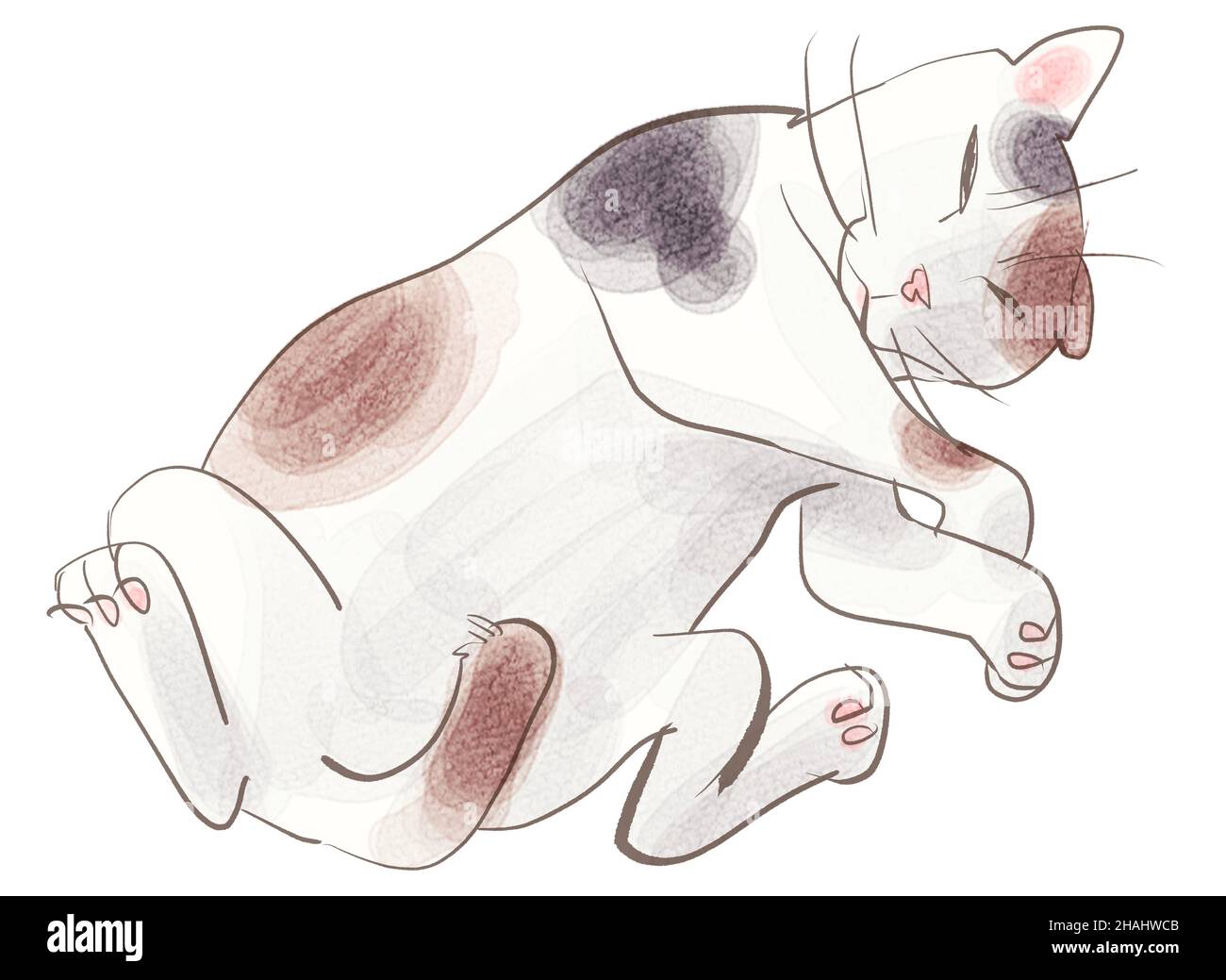 Illustration of a calico cat lying on its back Stock Photo - Alamy