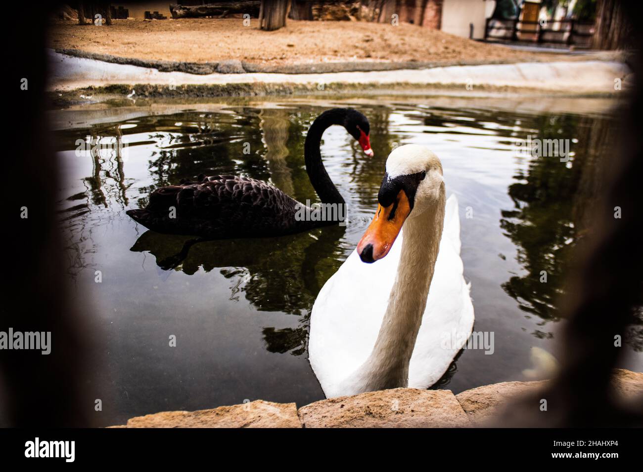 Limassol, Cyprus - December 12, 2021 Limassol Zoo, one of the biggest ...
