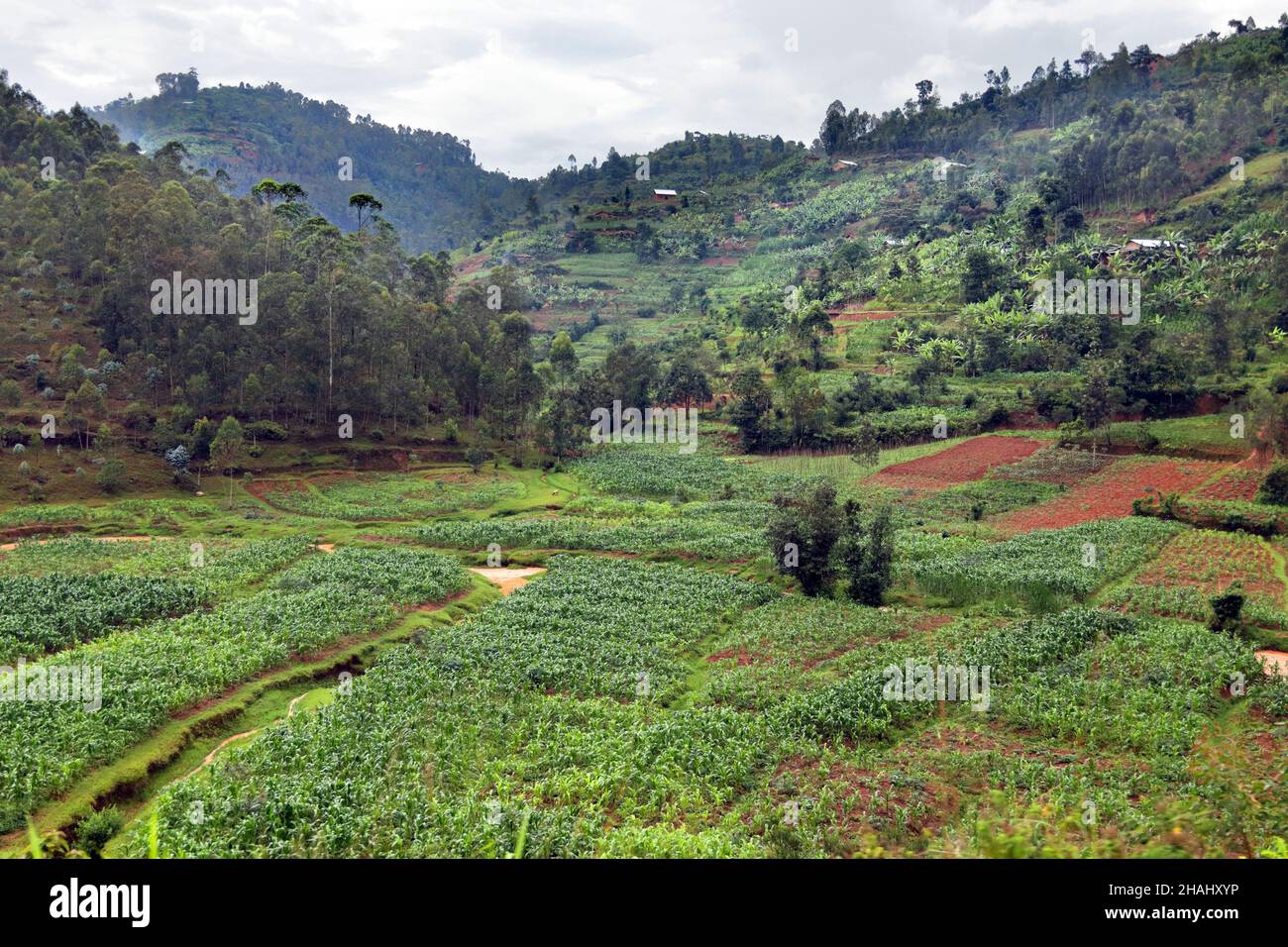 Rural landscape in Rwanda Stock Photo - Alamy