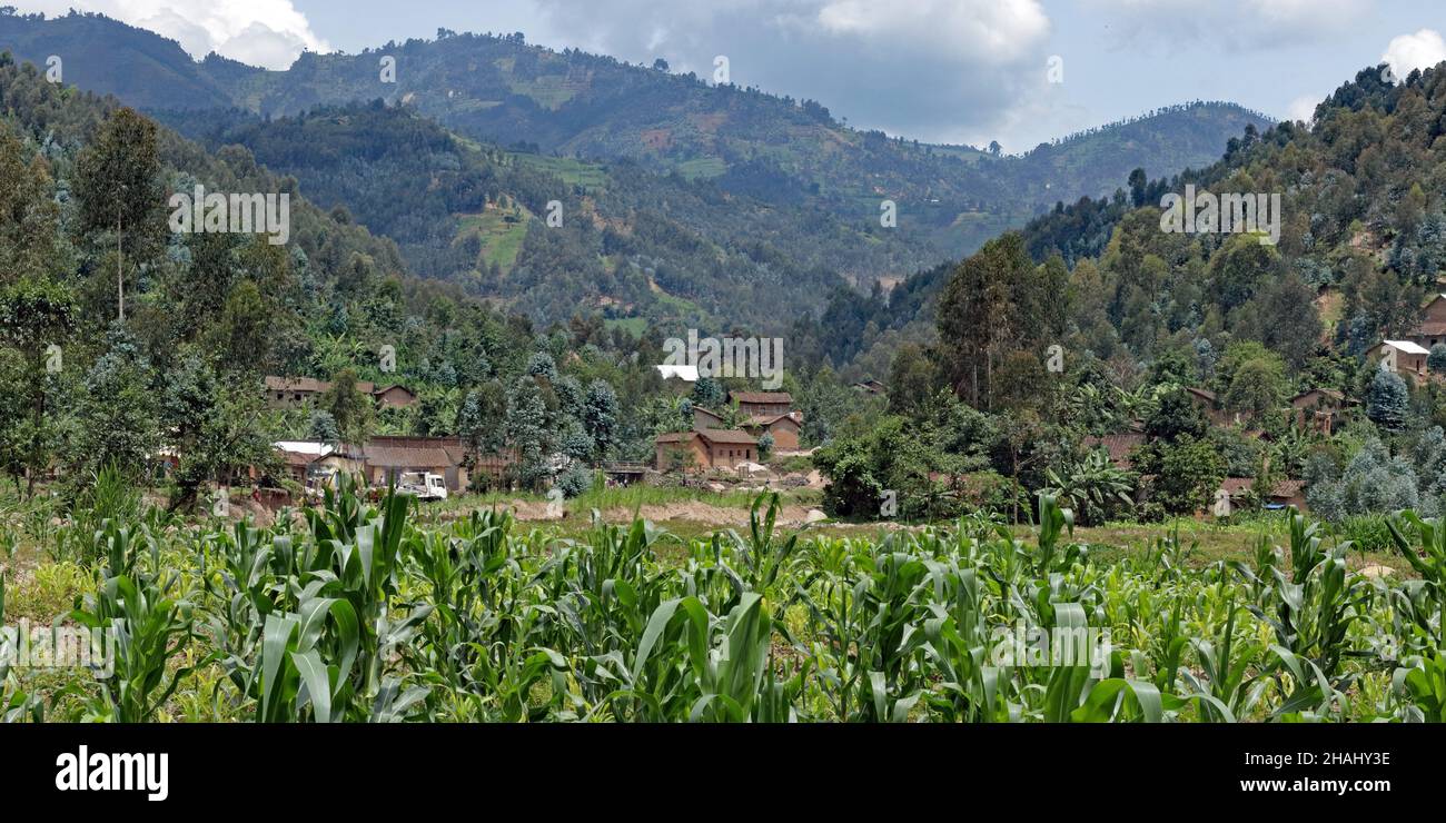 Rural landscape in Rwanda Stock Photo - Alamy