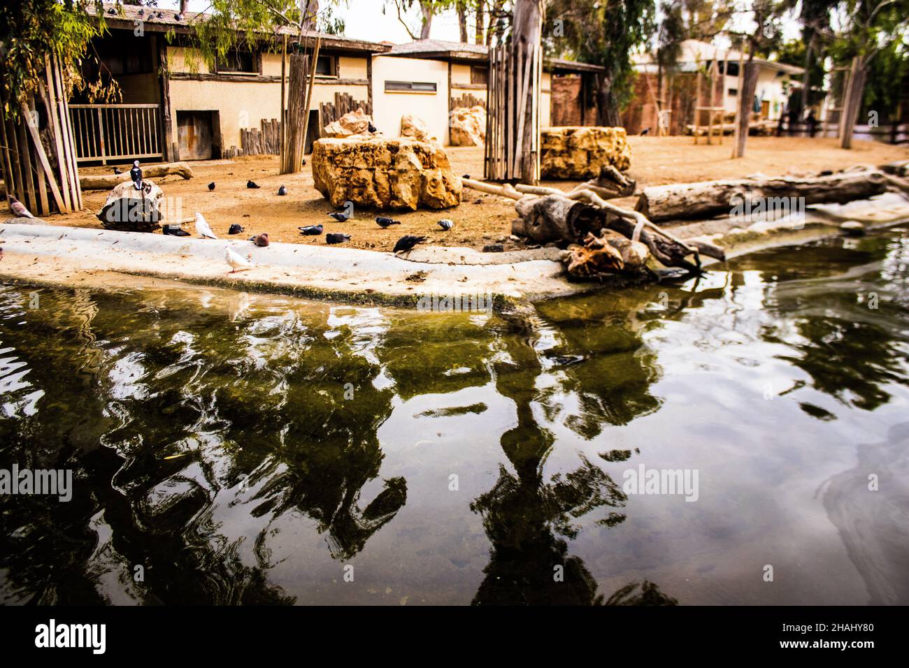Limassol, Cyprus - December 12, 2021 Limassol Zoo, one of the biggest ...