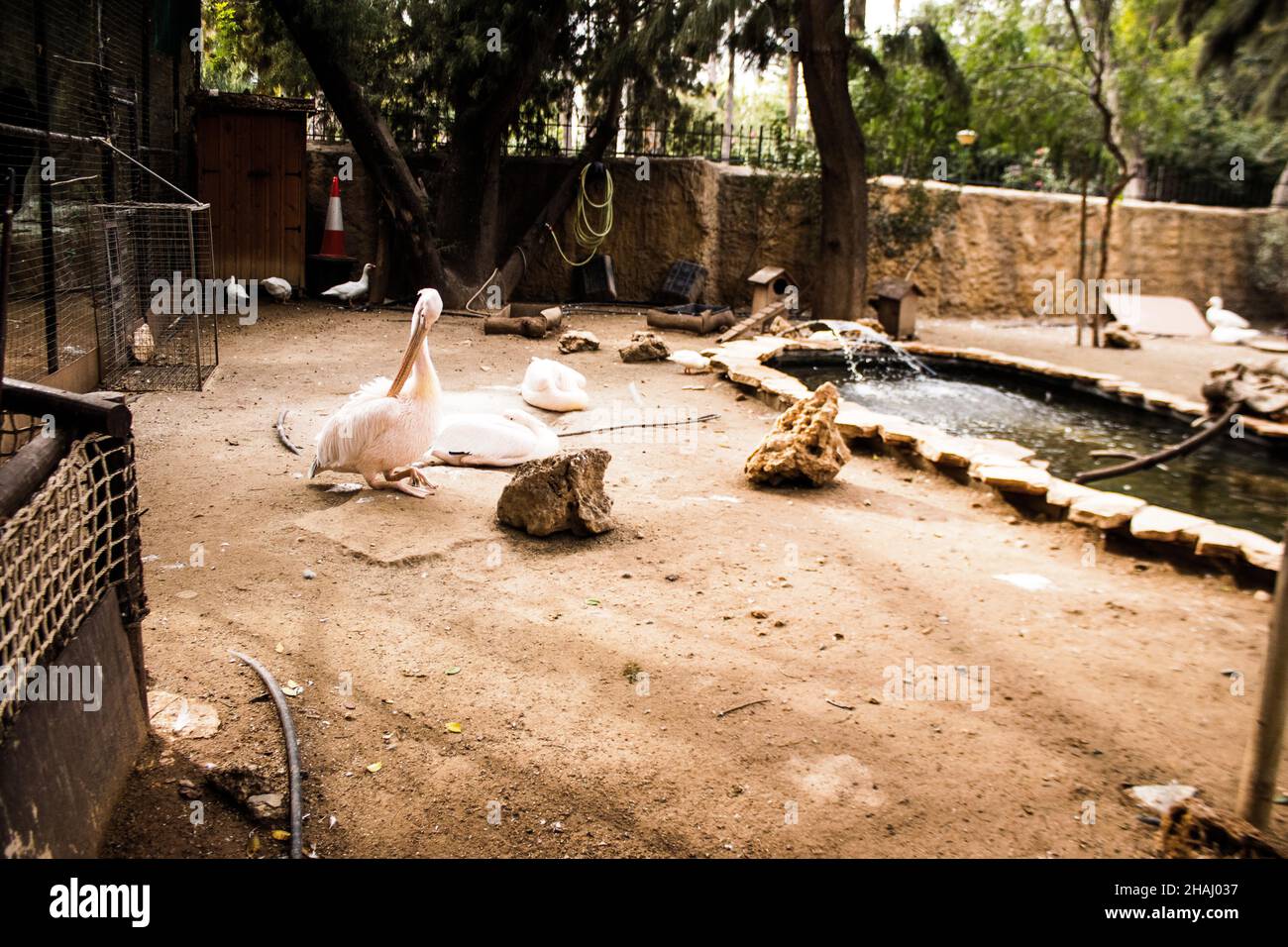Limassol, Cyprus - December 12, 2021 Limassol Zoo, one of the biggest ...