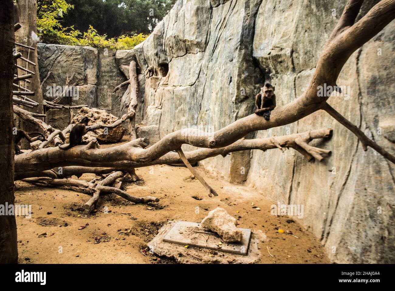 Limassol, Cyprus - December 12, 2021 Limassol Zoo, one of the biggest ...