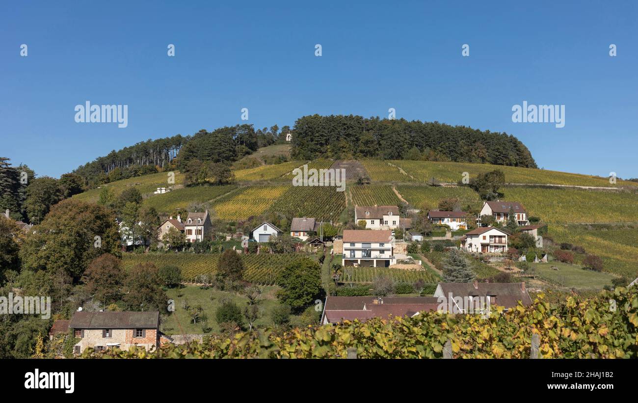 The hillside vineyard slopes of the Cote d'or in the Burgundy region of ...