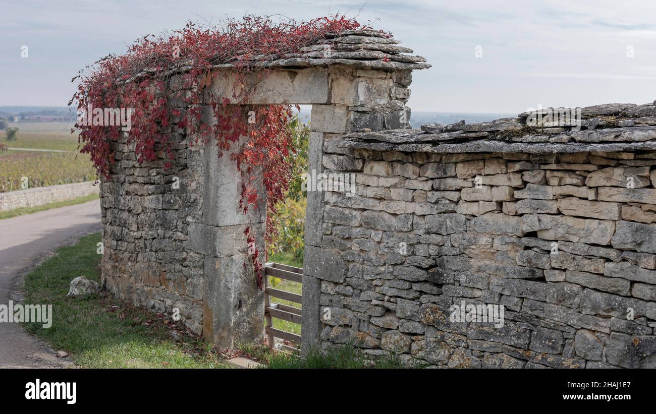 Stone gateway on a corner in the Burgundy region with a red virginia ...
