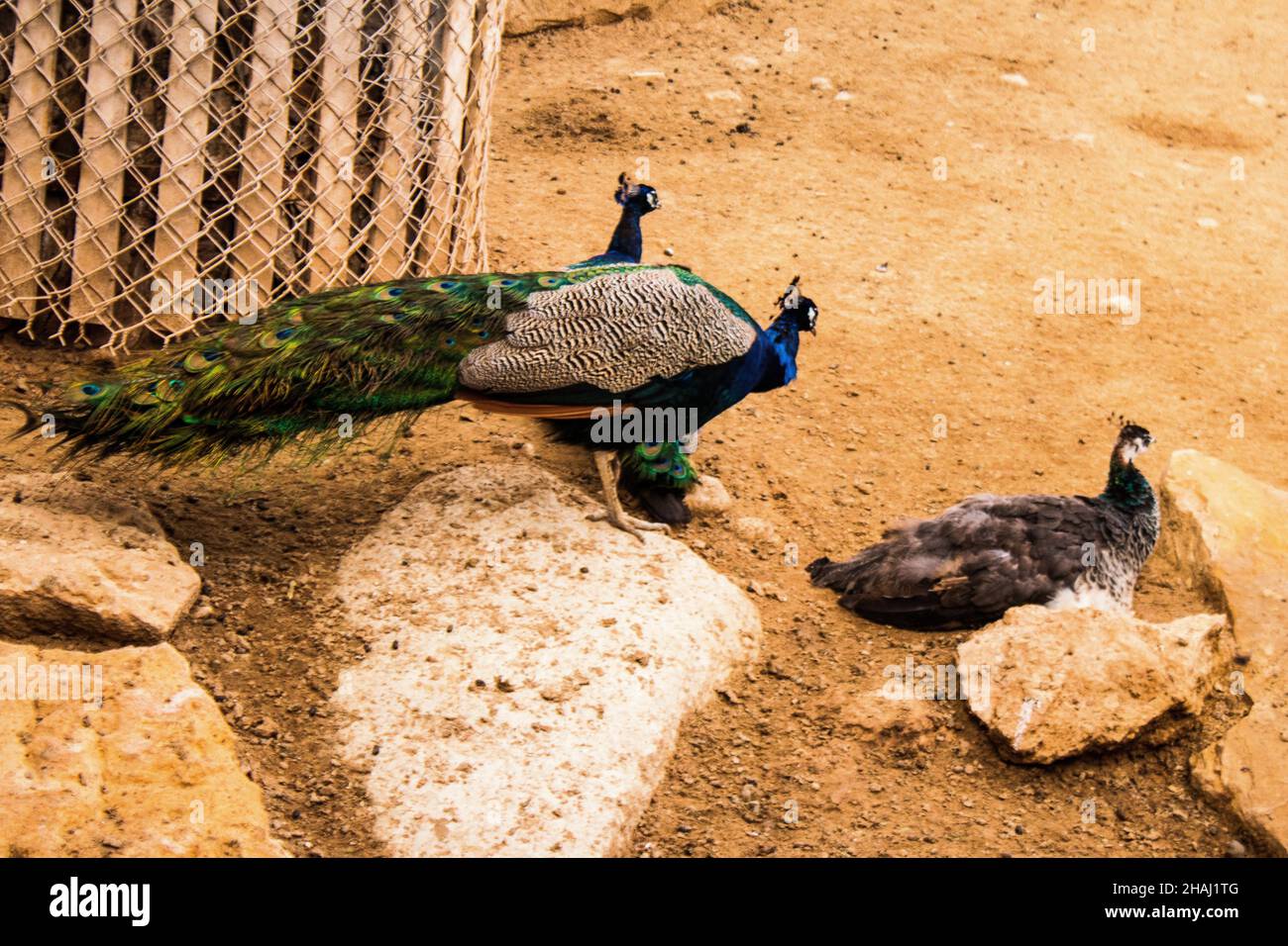 Limassol, Cyprus - December 12, 2021 Limassol Zoo, one of the biggest ...