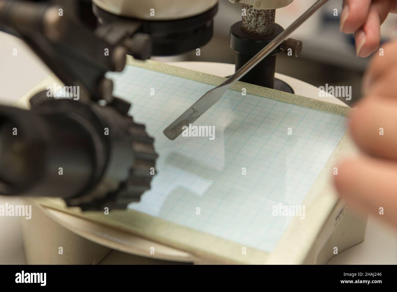 Close up detail of basic activity inside a chemistry laboratory Stock ...