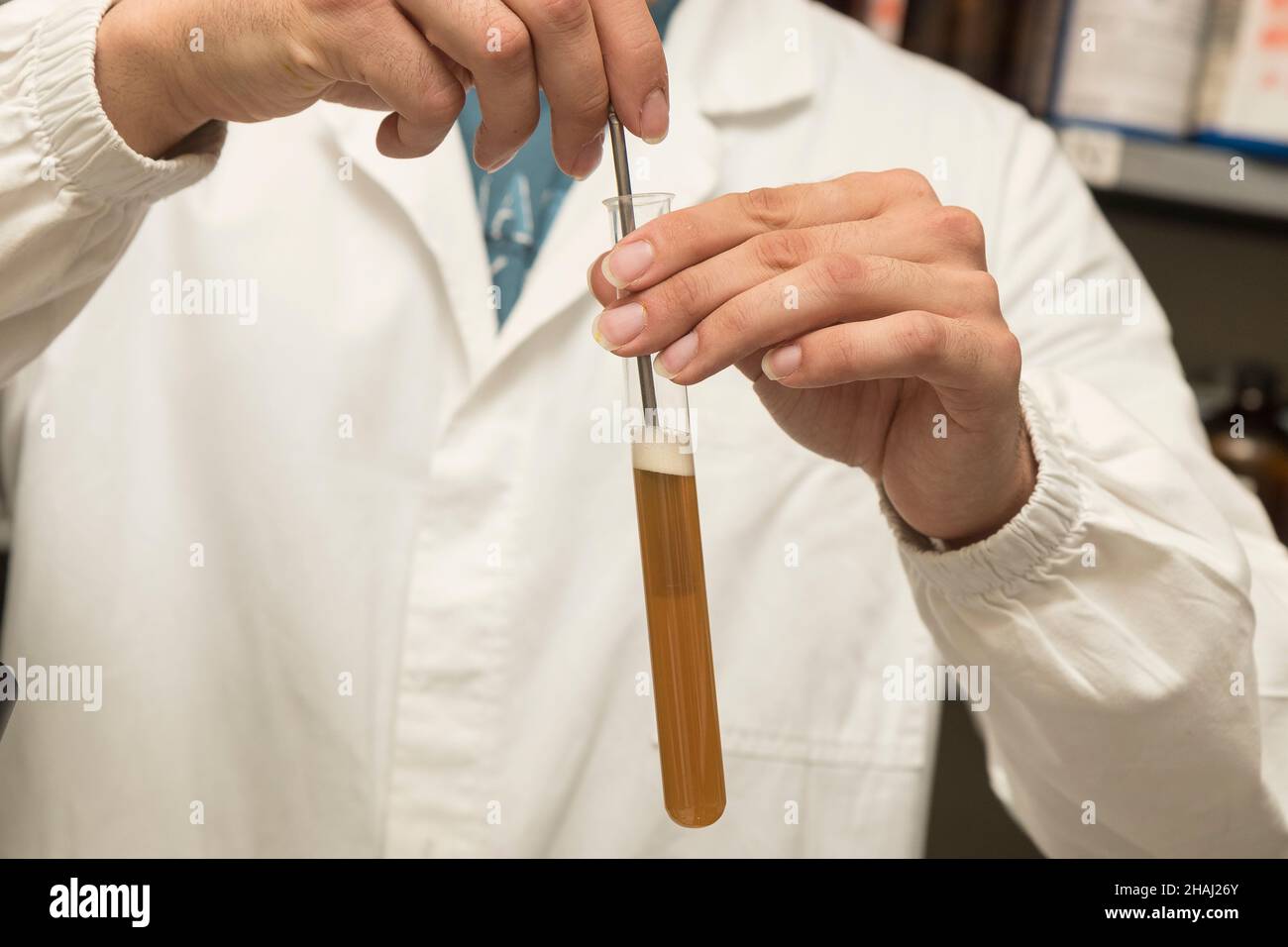 Close up detail of basic activity inside a chemistry laboratory Stock ...