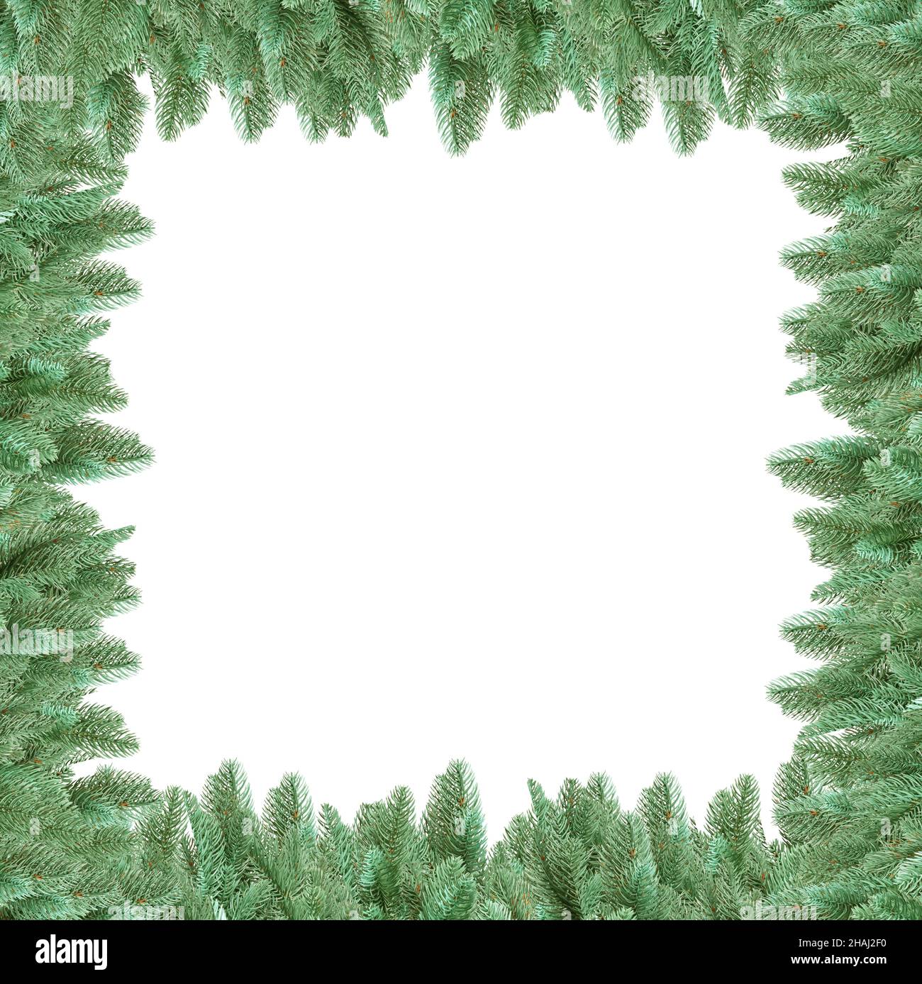 Tree border frame hi-res stock photography and images - Alamy