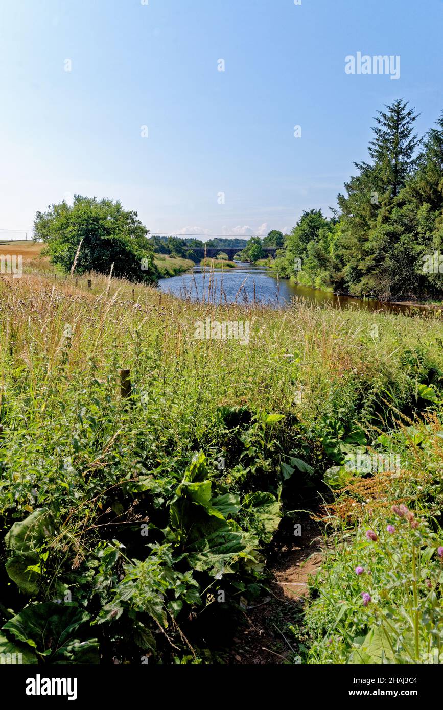 Laigh Milton Viaduct. Milton Bridge - Gatehead Viaduct, the world's ...