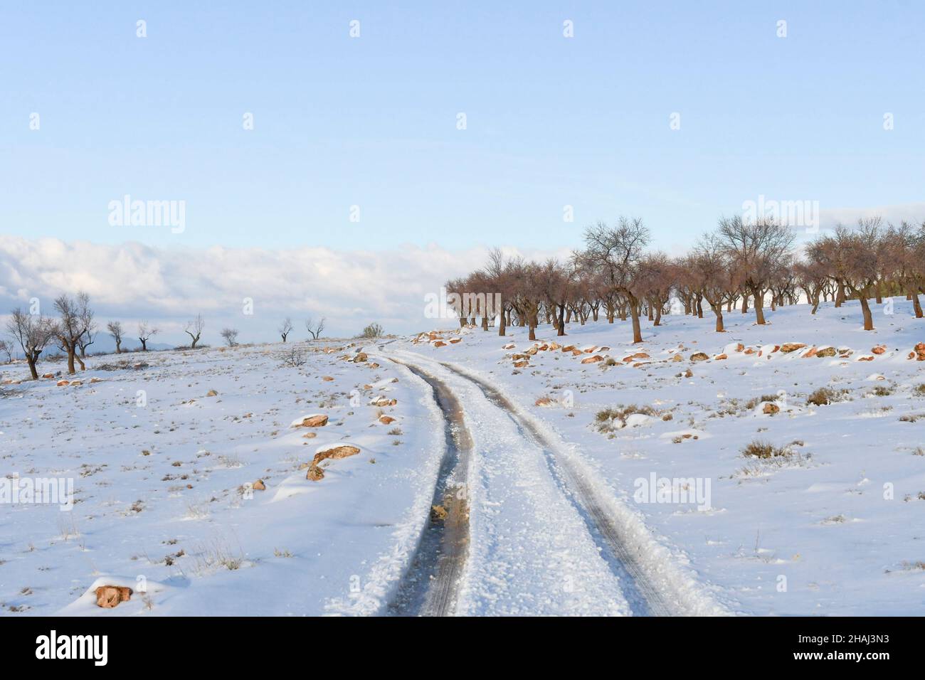 Snowy country road, between farm fields Stock Photo - Alamy