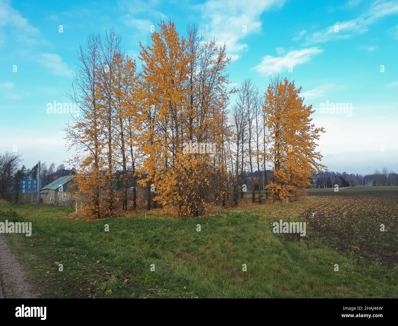 Fall in helsinki hi-res stock photography and images - Alamy