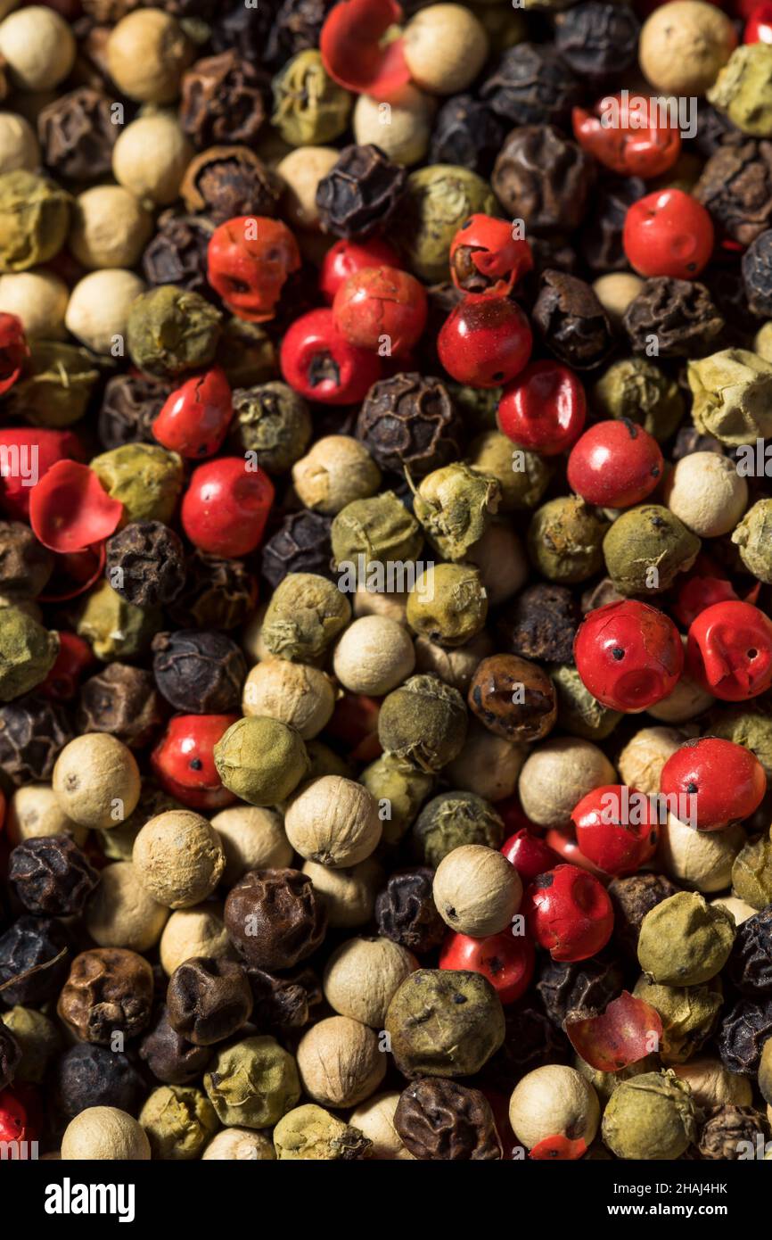 Raw Organic Dry Peppercorns in a Bowl Stock Photo - Alamy