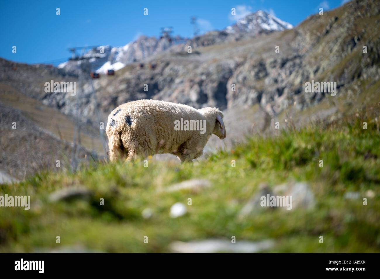 Moutterberg hi-res stock photography and images - Alamy