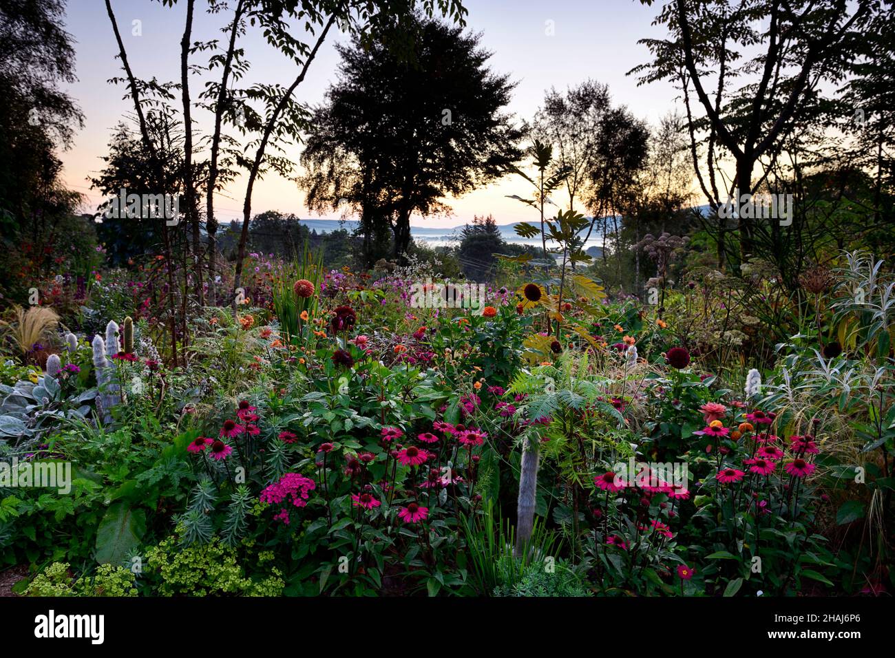 Densely planted border hi-res stock photography and images - Alamy