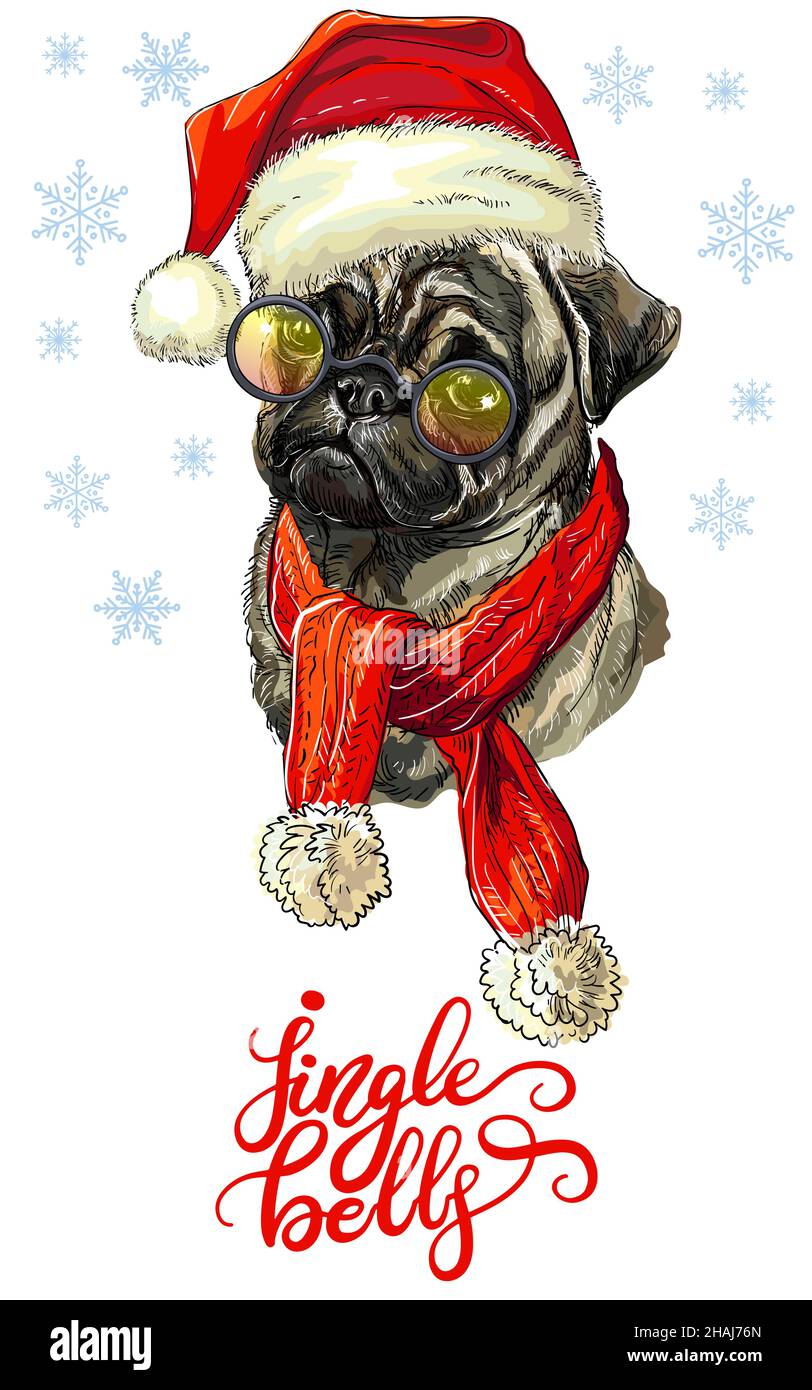 Holiday winter card pug Cut Out Stock Images & Pictures - Alamy