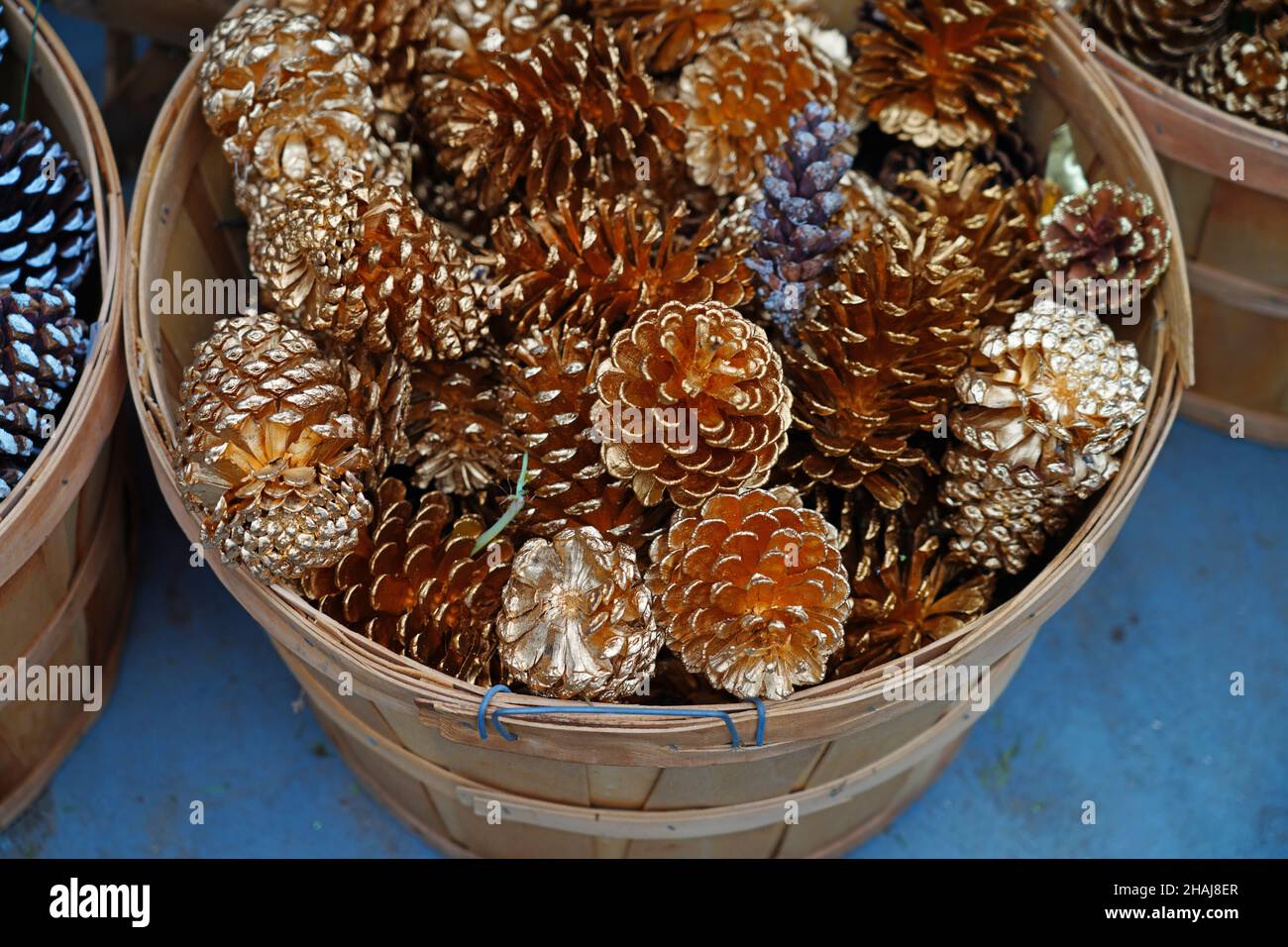 Golden pinecones hi-res stock photography and images - Alamy