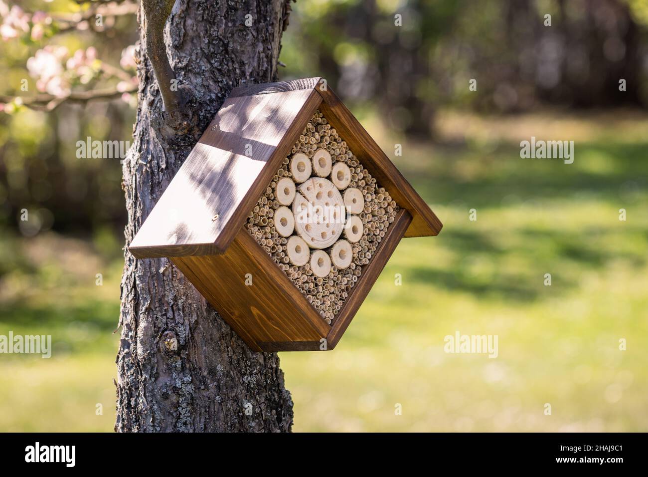 Insect hotel or house on tree in garden Stock Photo - Alamy