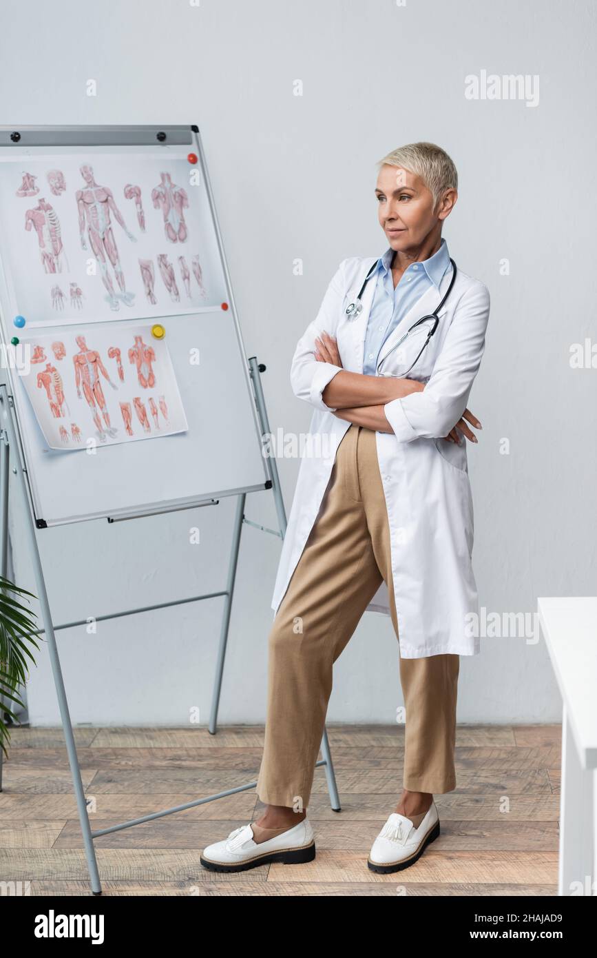 senior doctor in white coat with stethoscope standing with crossed arms ...