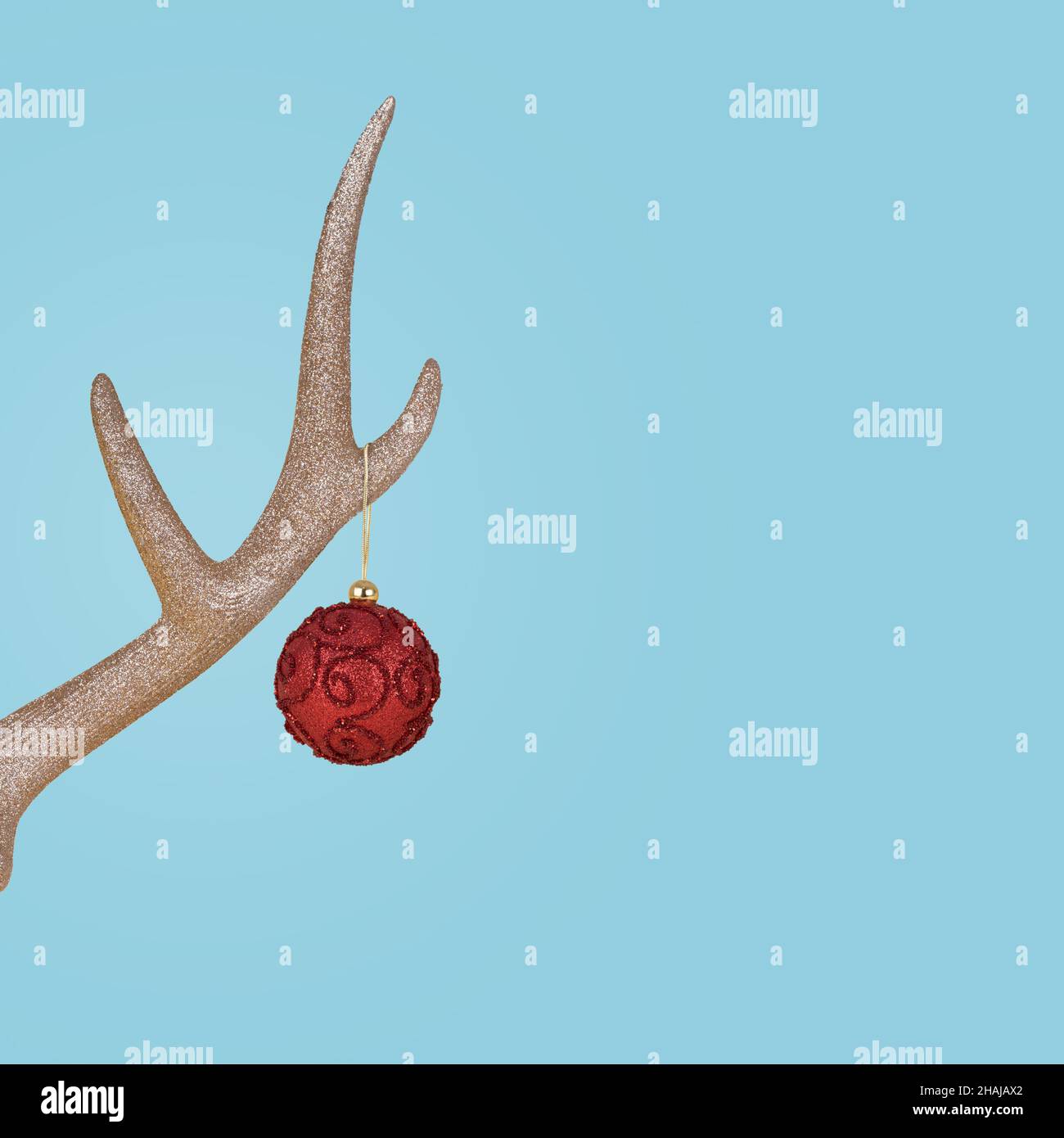 Ball antler hi-res stock photography and images - Alamy