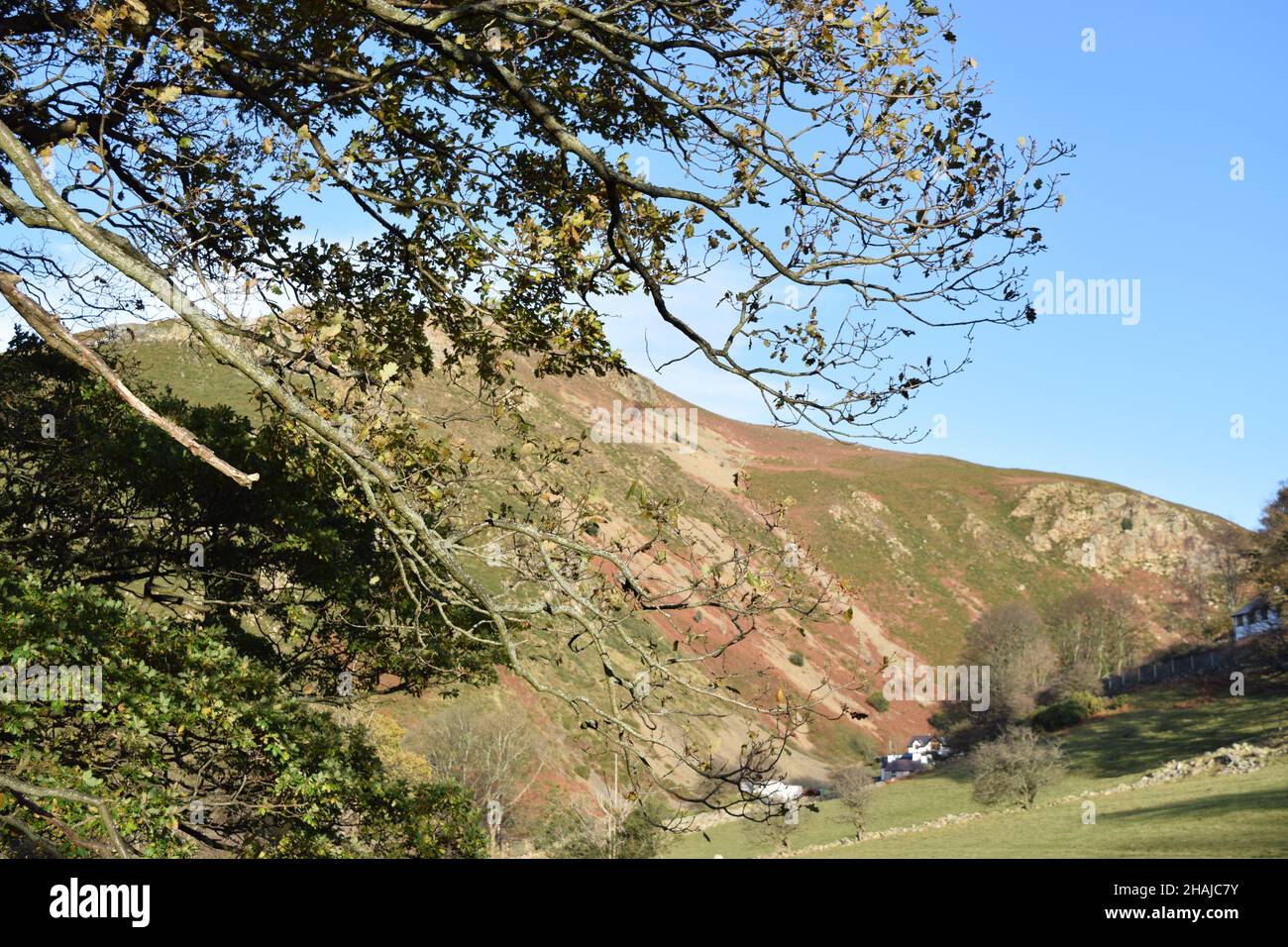 Gorgeous landscape in Capelulo village Wales UK Stock Photo - Alamy
