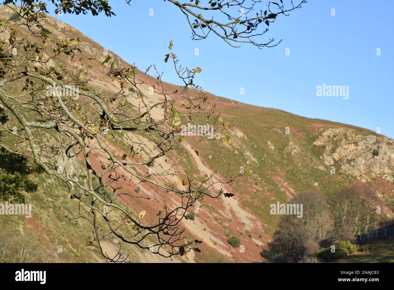 Gorgeous landscape in Capelulo village Wales UK Stock Photo - Alamy