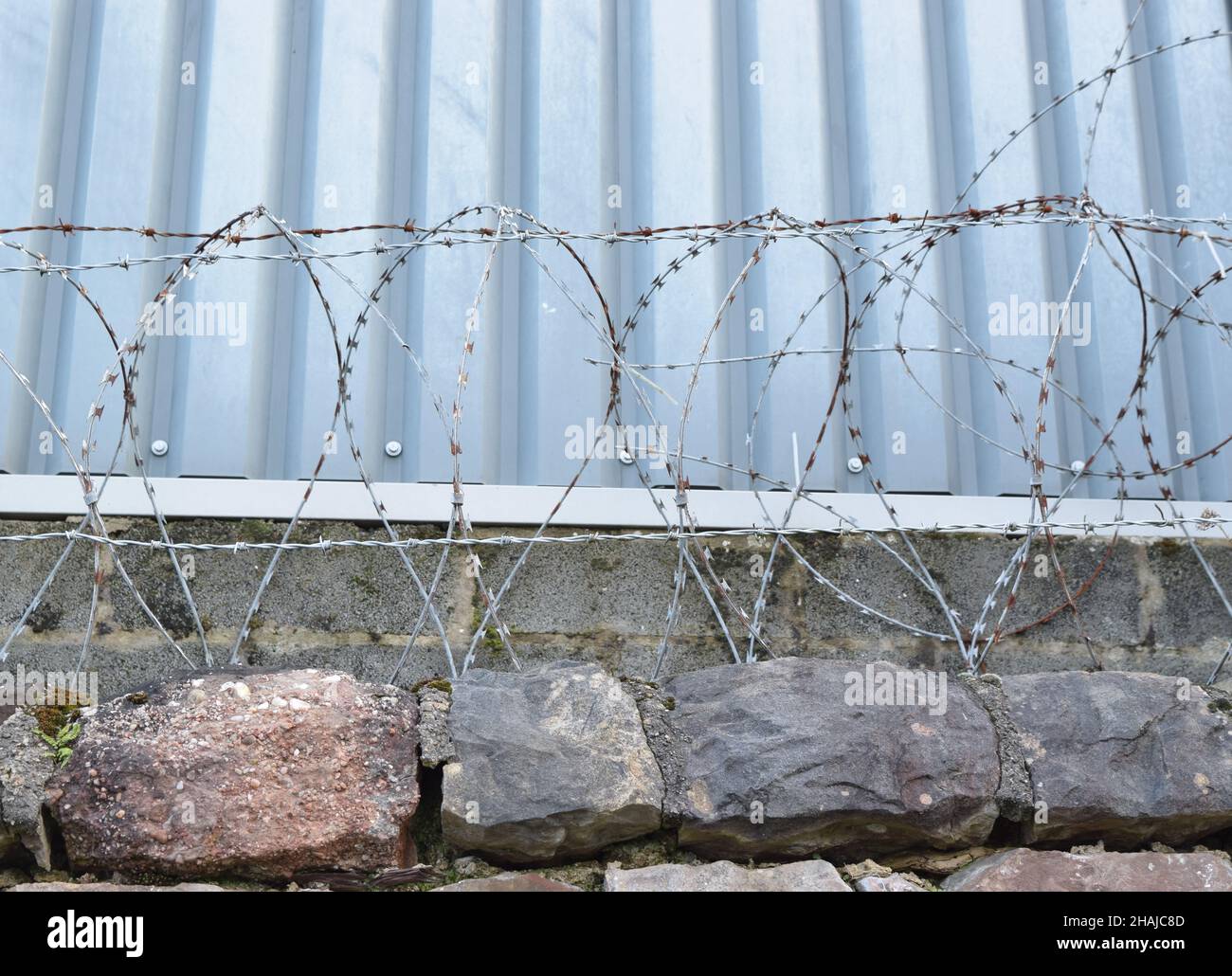 Barbed wire wall and fence Stock Photo - Alamy