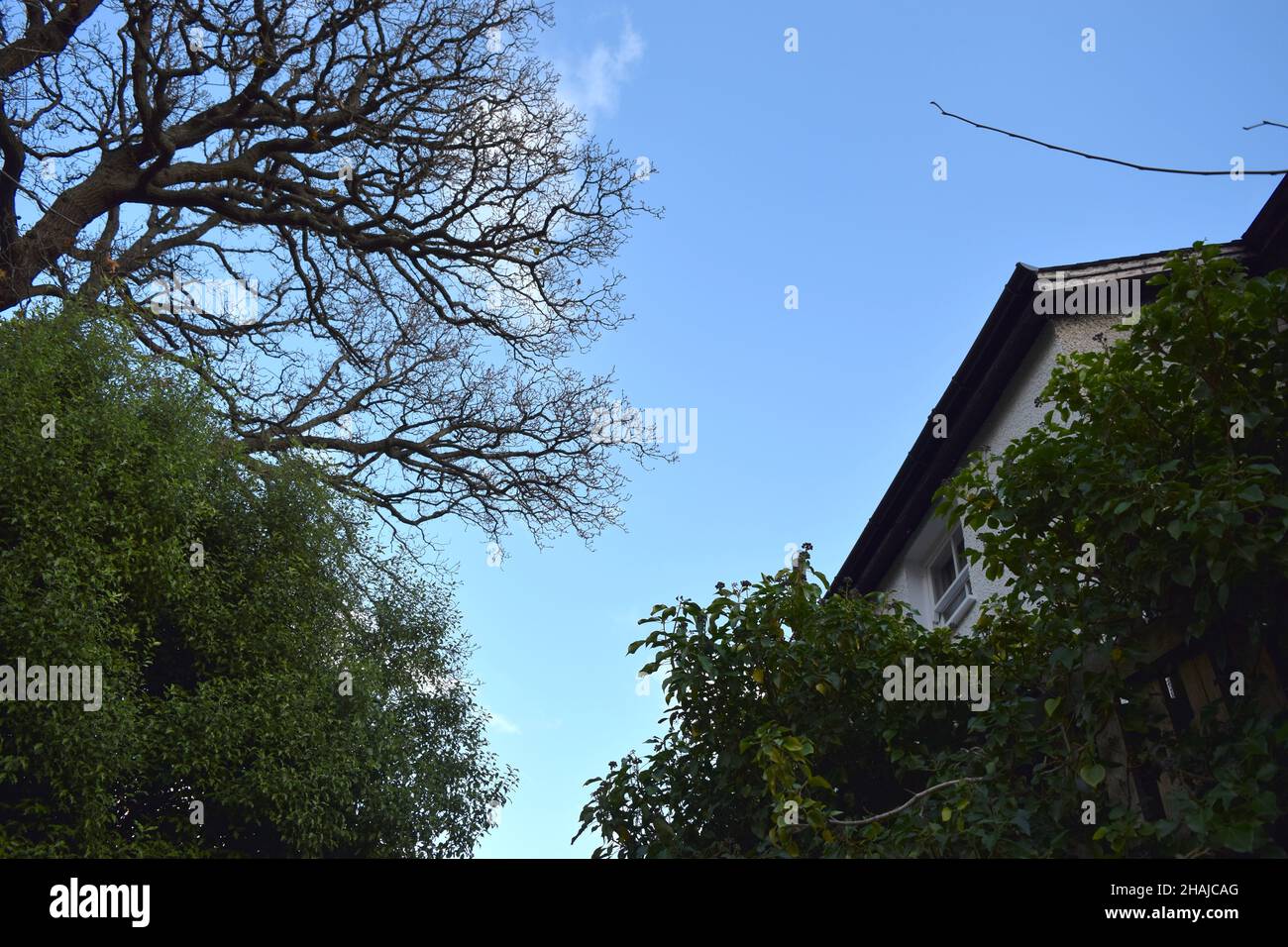 Gorgeous landscape in Capelulo village Wales UK Stock Photo - Alamy