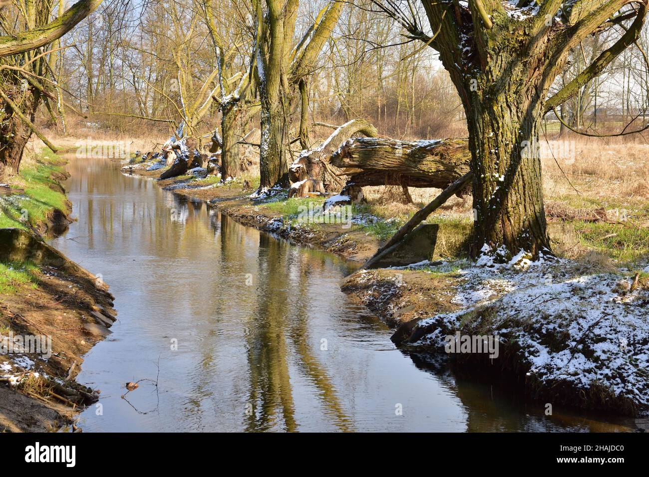 Trees by a small stream among the green spring fields on a sunny day ...