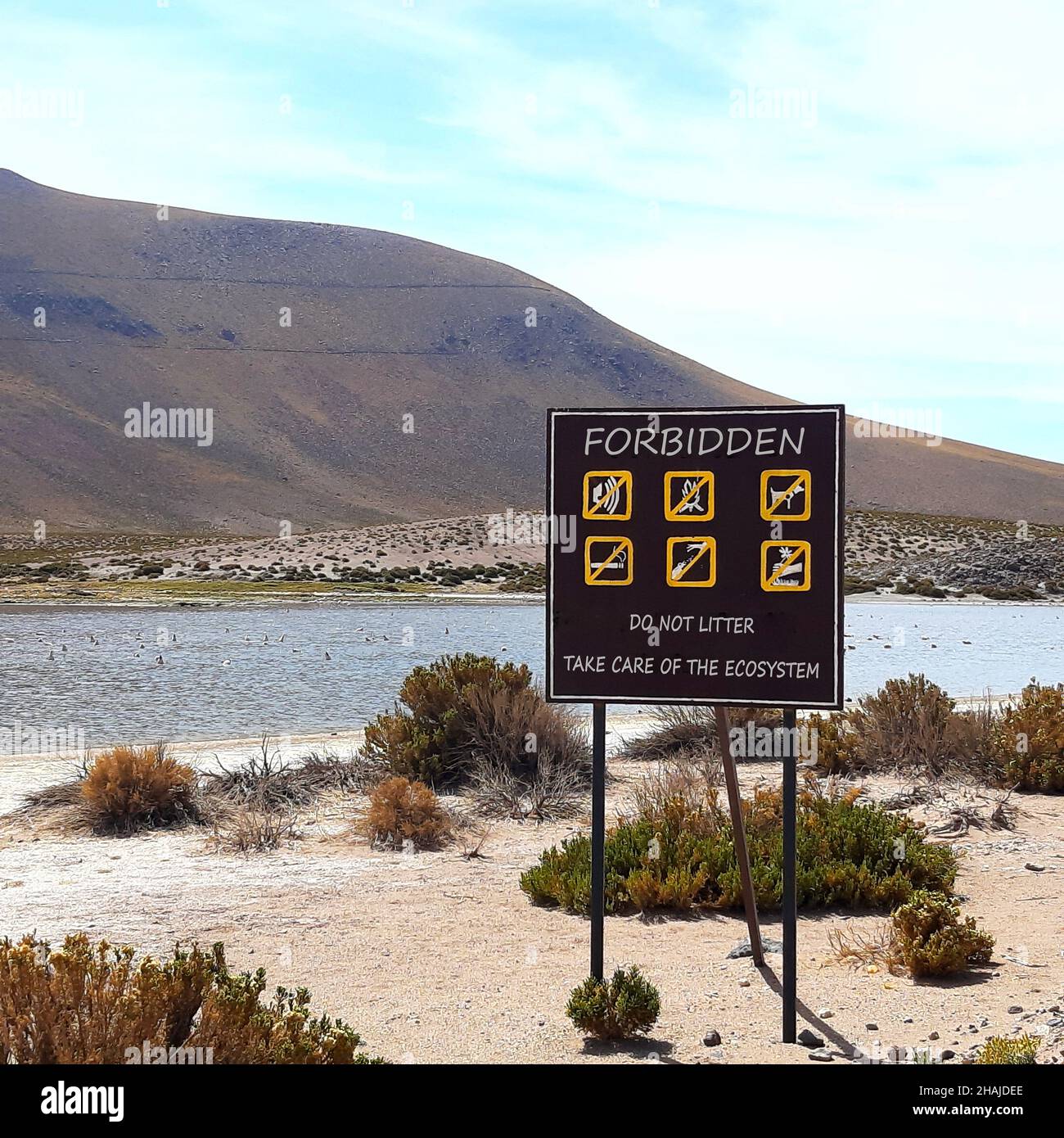 Signal in a natural reserve warning about do not litter and take care ...