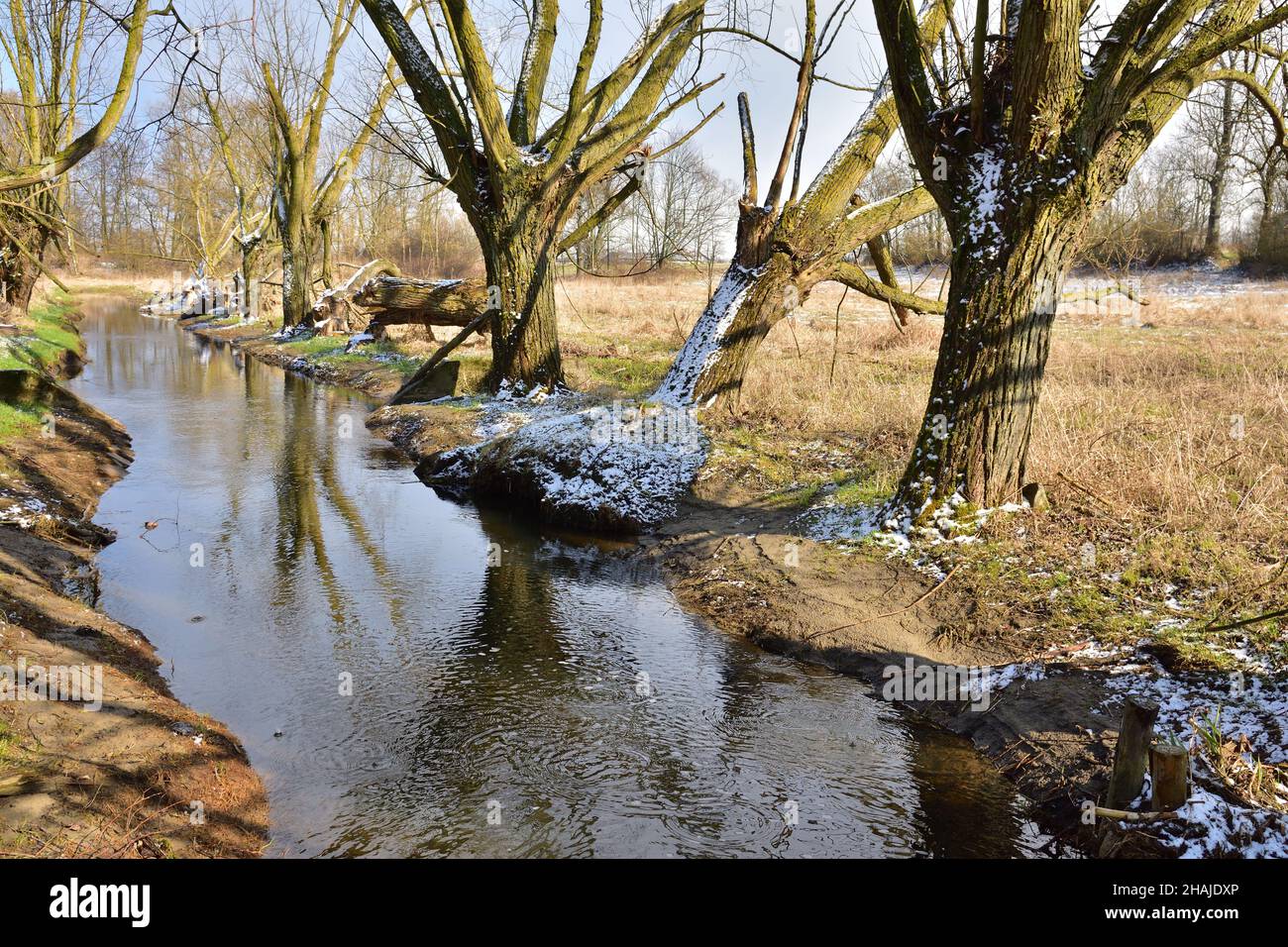 Trees by a small stream among the green spring fields on a sunny day ...