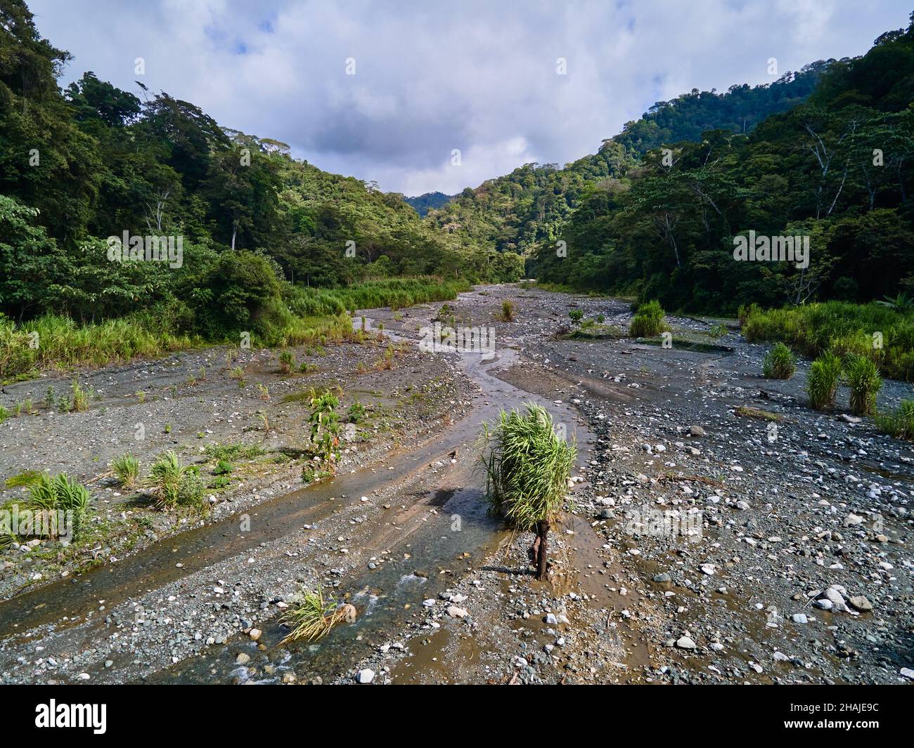 Aerial view of a river in rainforest of Corcovado National Park, Osa ...