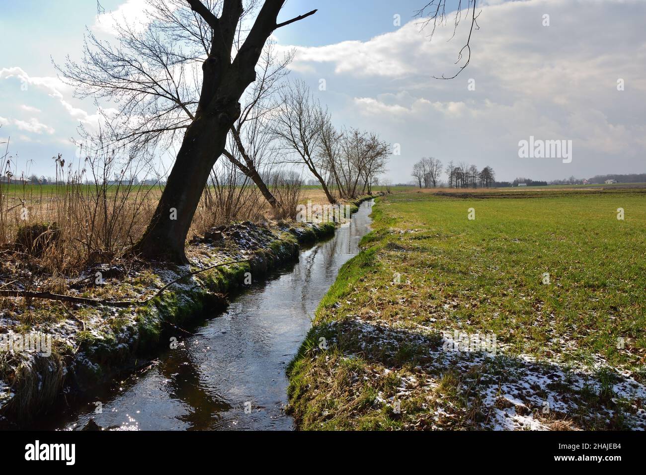 Trees by a small stream among the green spring fields on a sunny day ...