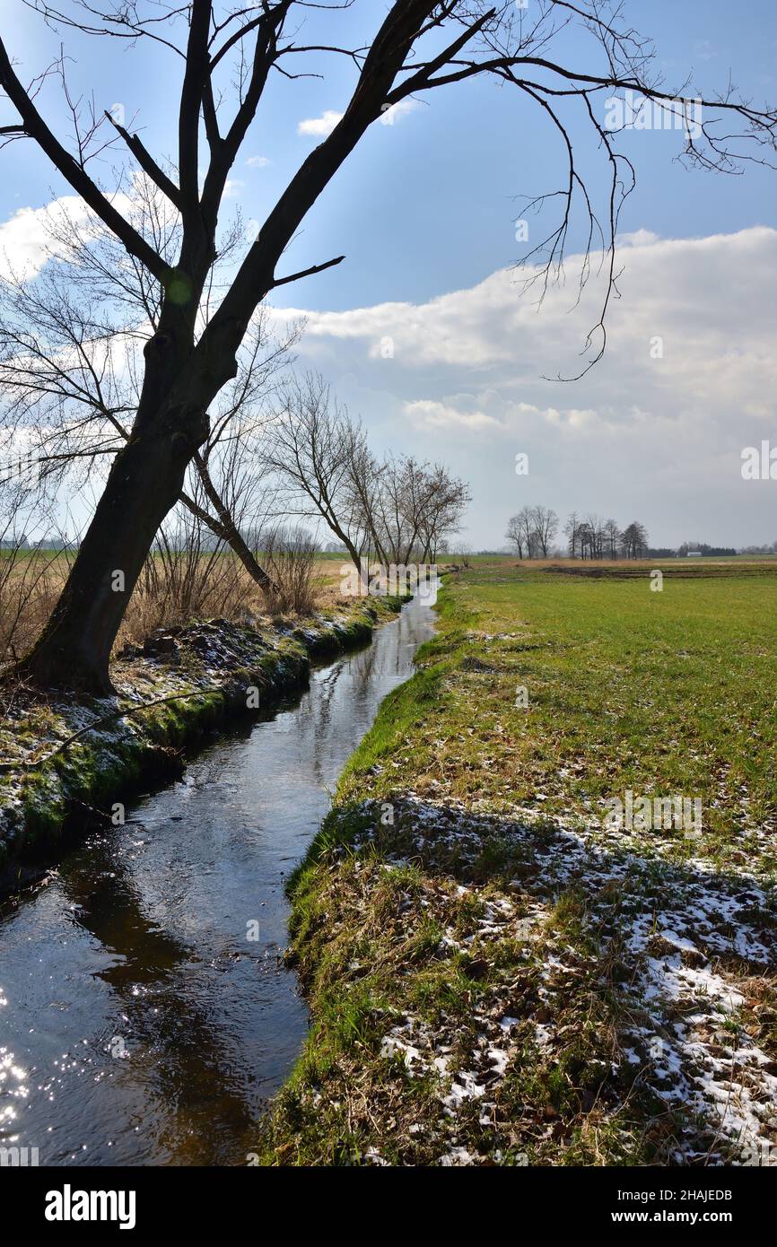 Stream with trees and grass hi-res stock photography and images - Alamy