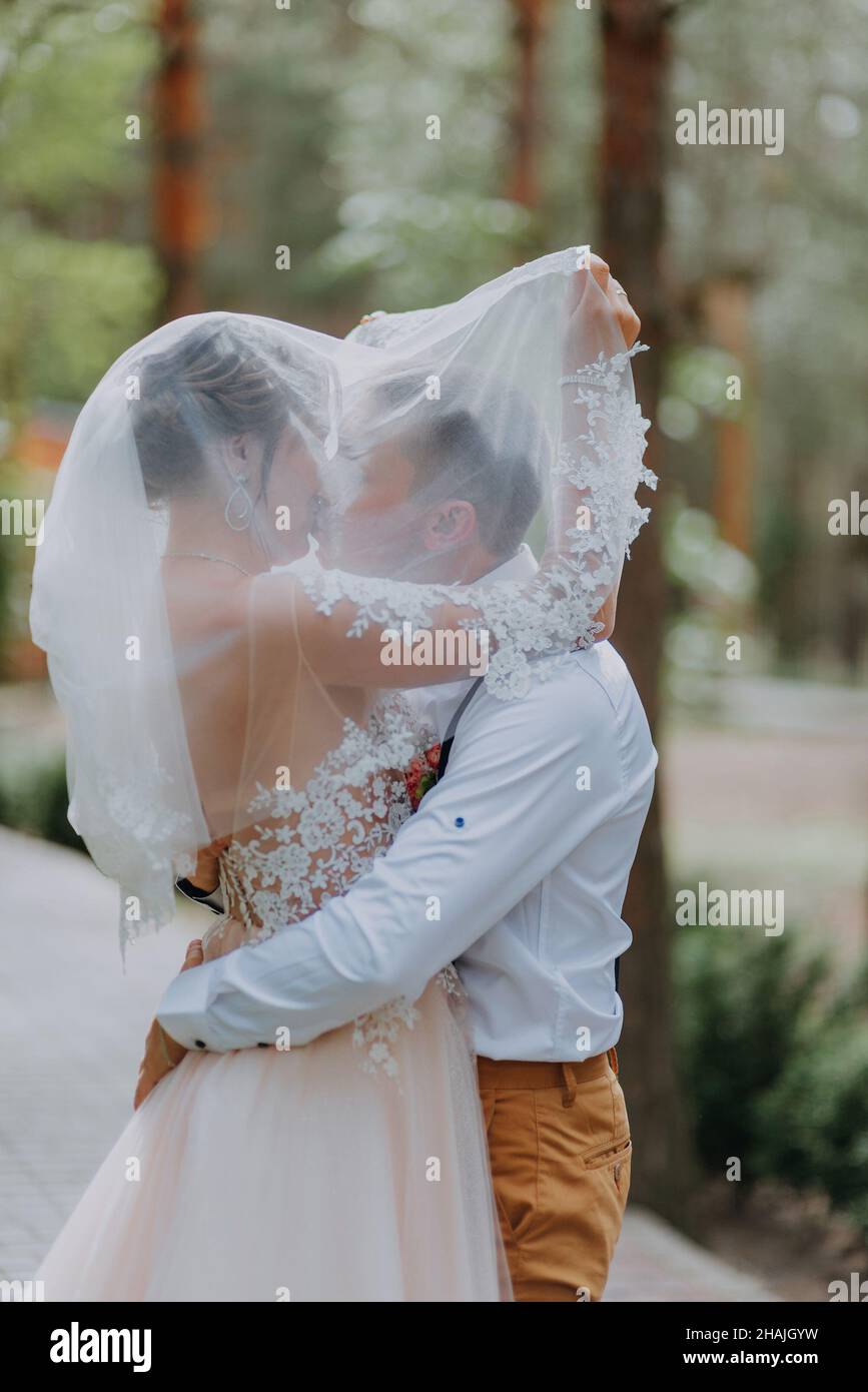 Bride And Groom Kissing Under Veil Holding Flower Bouquet In Hand Stock ...