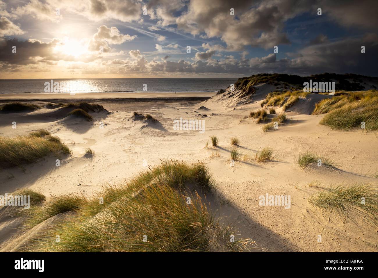 golden light over sand dunes at sea, Holland Stock Photo - Alamy
