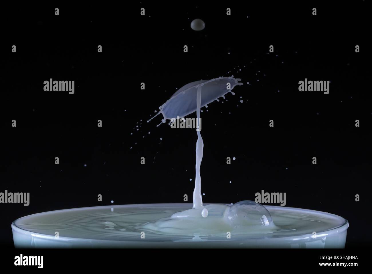 Closeup of a drop of milk falls into a cup on a black background Stock ...