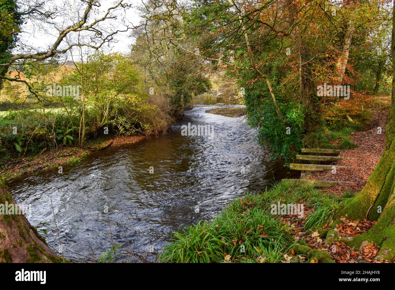 Restormel Castle/River Fowey 171121 Stock Photo - Alamy