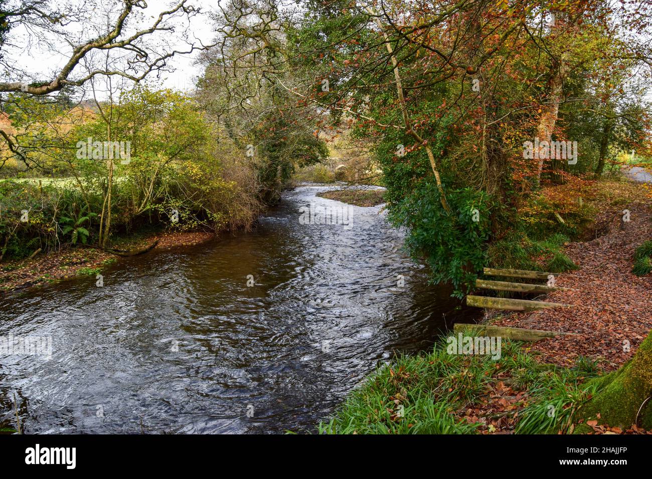 Restormel Castle/River Fowey 171121 Stock Photo - Alamy