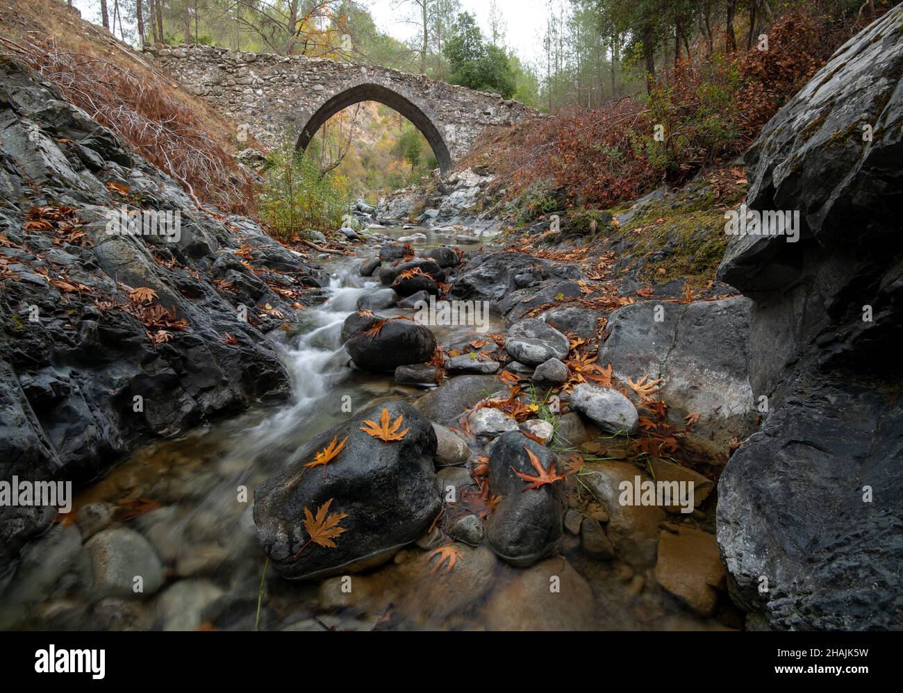 Medieval stoned bridge with water flowing in the river in autumn Stock ...