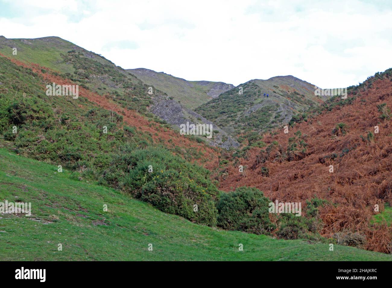 Adults walking hills in the Carding Mill Valley, Church Stretton ...