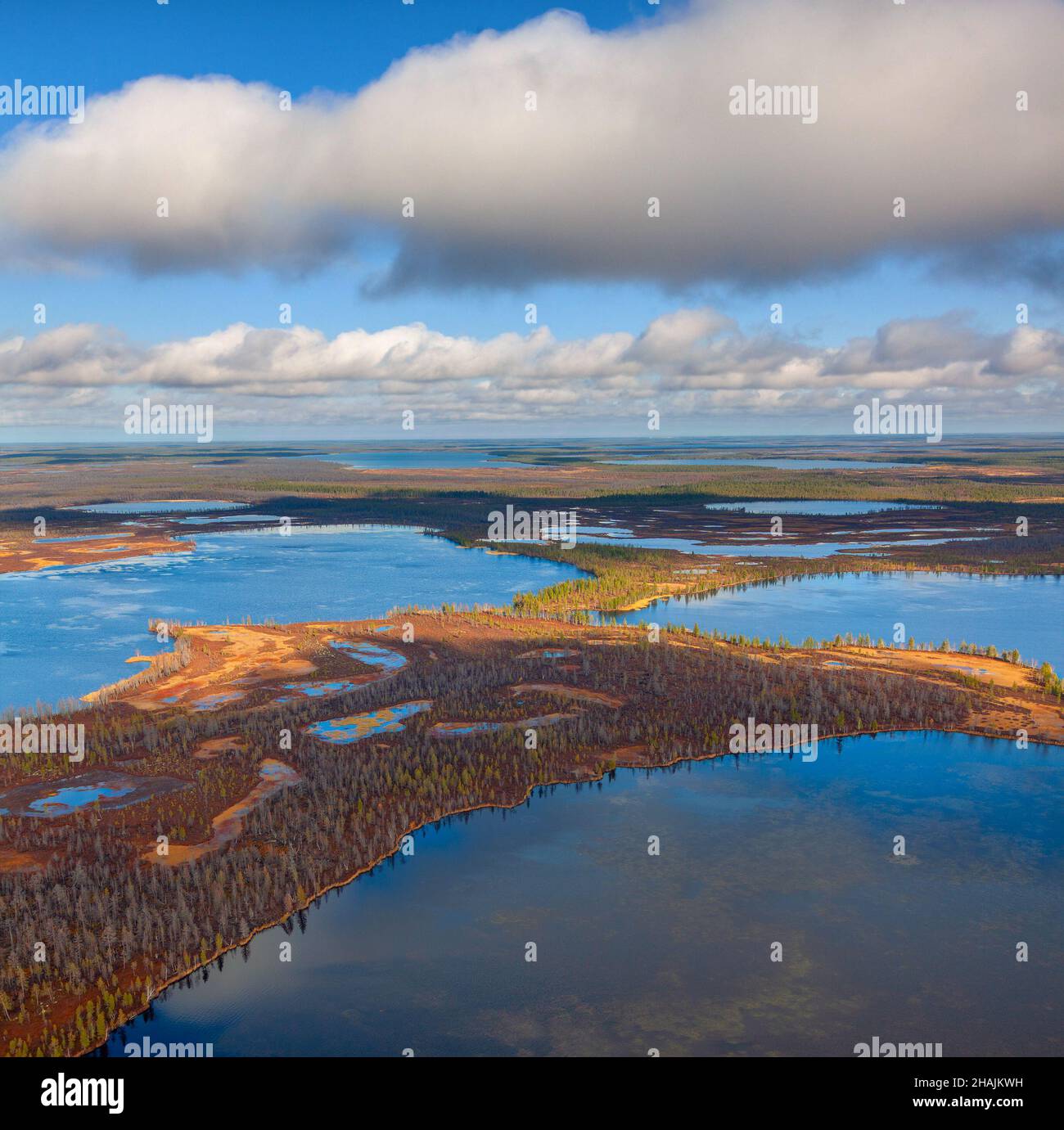 Aerial view of the tundra in autumn. Marsh with water under cloudy sky ...