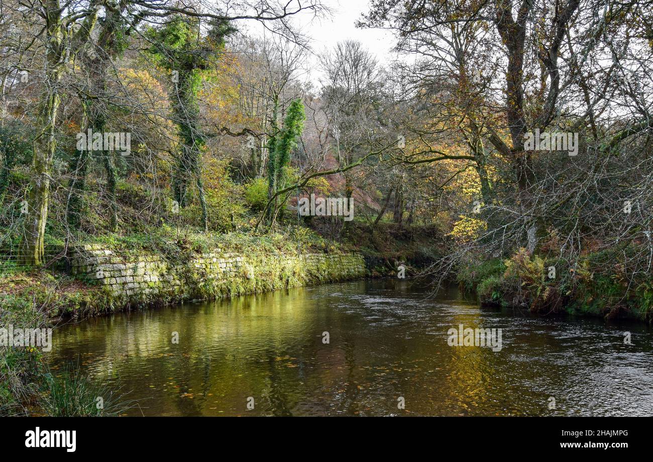Restormel Castle/River Fowey 171121 Stock Photo - Alamy