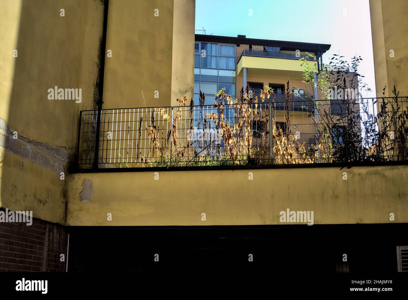 Facade modern building framed hi-res stock photography and images - Alamy