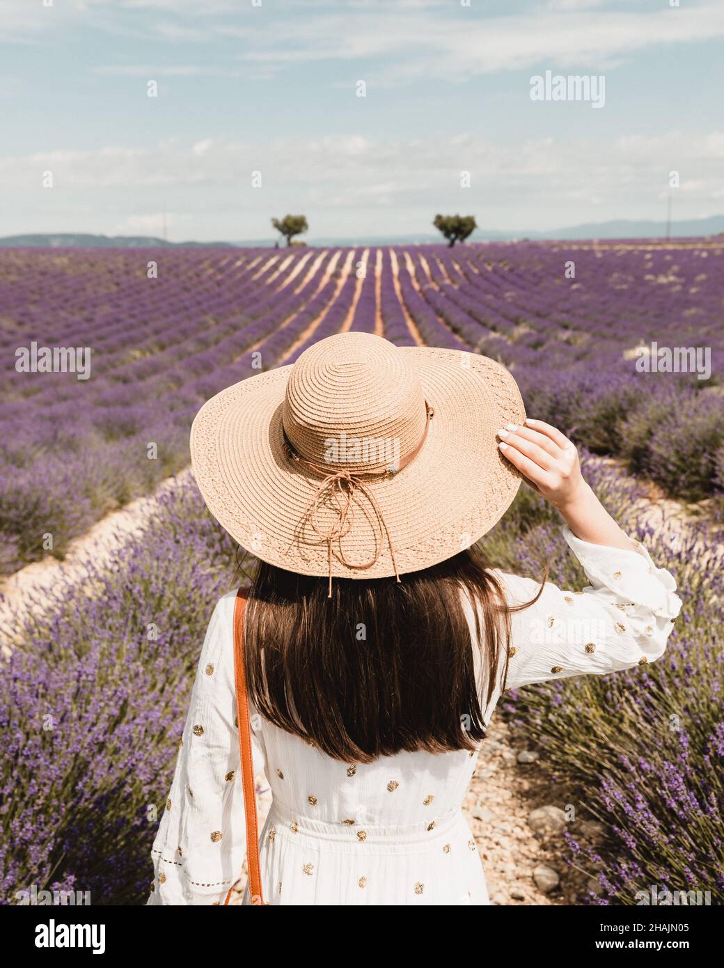 Back view woman lavender hi-res stock photography and images - Alamy