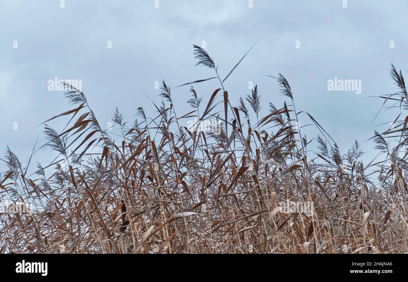 Sad landscape hi-res stock photography and images - Alamy