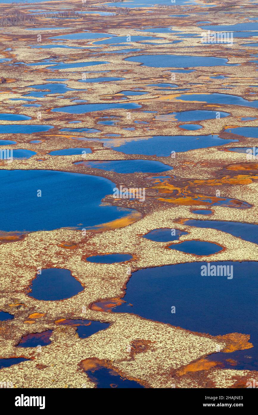 Aerial view of the tundra in autumn. Pattern of multiple lakes Stock ...