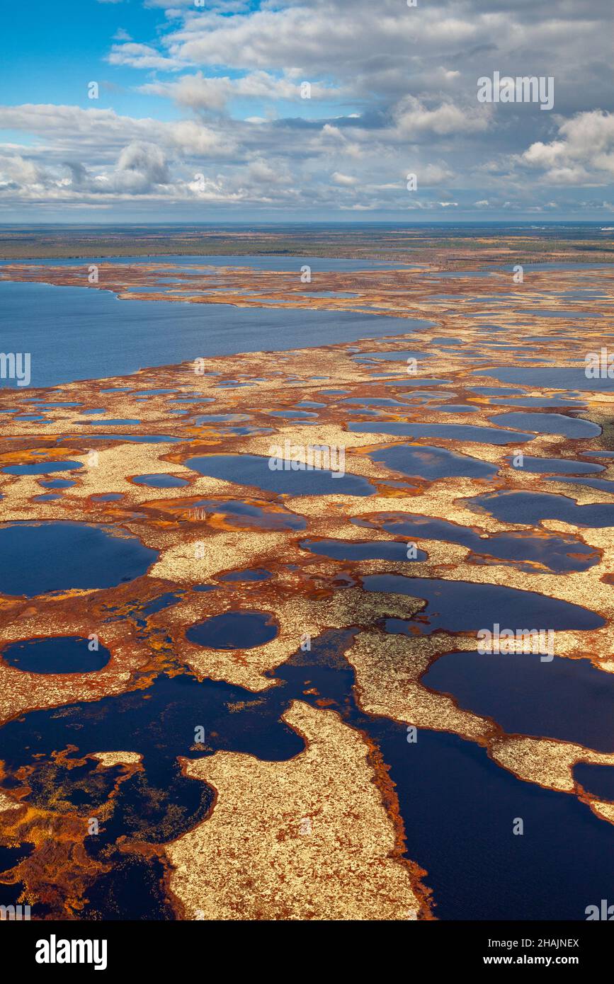 Aerial view of the tundra in autumn. Marsh with water under cloudy sky ...