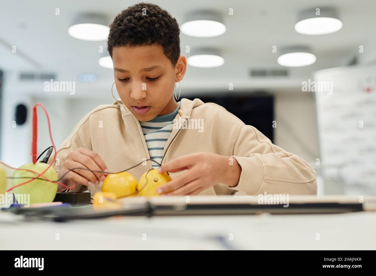 Portrait of teenage girl working on science experiment in school ...